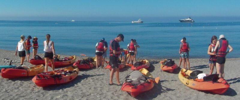 From Málaga: Cliffs of Maro-Cerro Gordo Guided Kayaking Tour - Wildlife Encounters