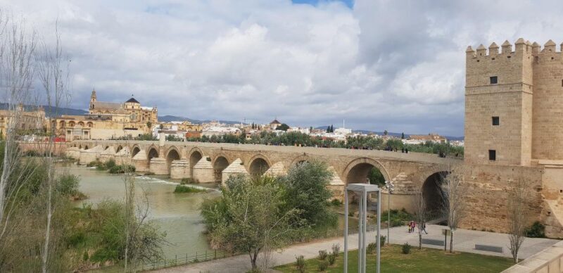 From Malaga: Cordoba Day Trip and Mosque-Cathedral - Final Thoughts