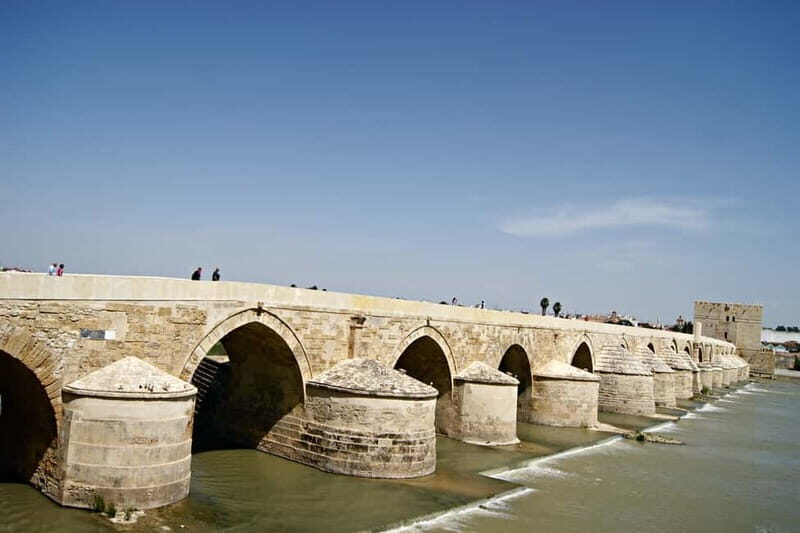 From Málaga: Córdoba Mosque Guided Tour - Final Thoughts