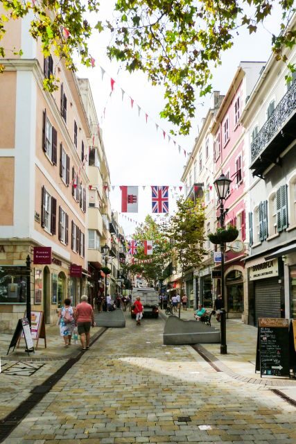 From Malaga: Day trip to Gibraltar and Dolphin Boat Tour - An In-Depth Look at the From Malaga: Day Trip to Gibraltar and Dolphin Boat Tour