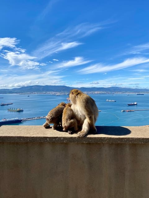 From Malaga: Day Trip to Gibraltar - Analyzing the Price and Value