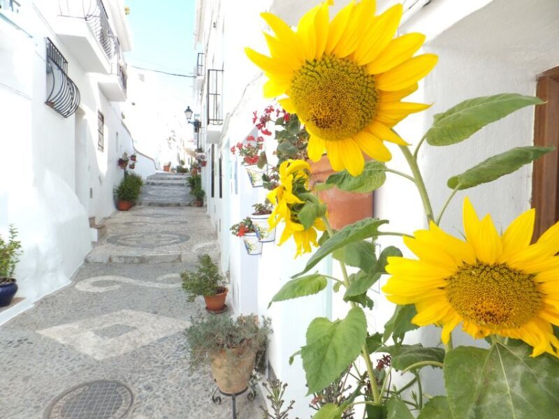 From Málaga: Frigiliana Hiking Tour with Wine & Appetizers - What Sets This Tour Apart