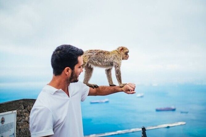 From Malaga, Gibraltar excursion with transport - Practical Tips for Making the Most of Your Day