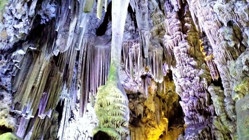 From Málaga or Marbella: Private Gibraltar Tour - Why this Tour Works Well