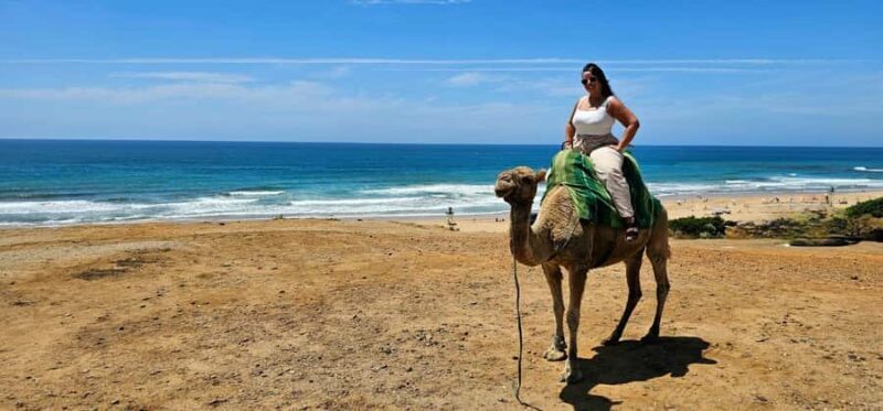 From Malaga or Tarifa: Private Tangier Day Tour - Who Is This Tour Best For?