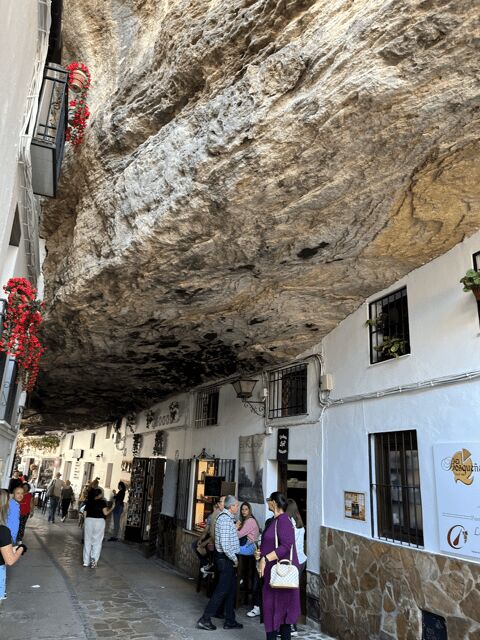 From Malaga: Ronda and Setenil de las Bodegas Day Trip - Who Would Enjoy This Tour?