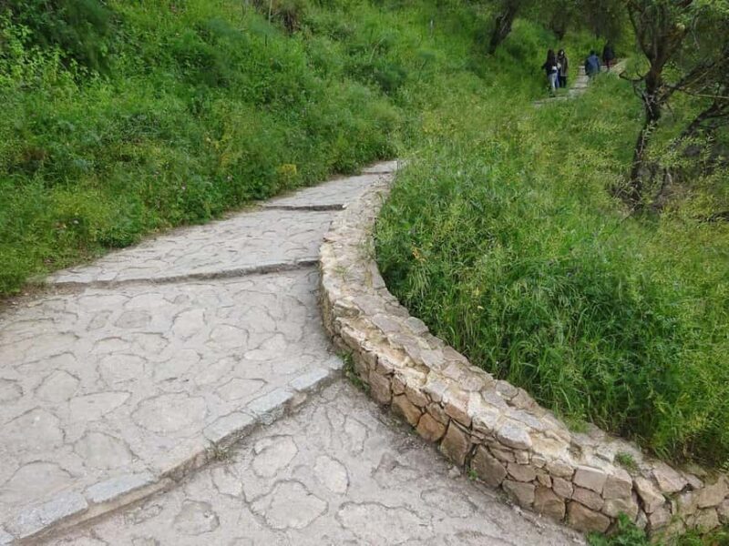 From Malaga: Ronda y Setenil de la Bodegas Day Trip by coach - An Introduction to the Experience