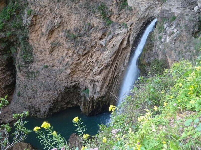 From Malaga: Ronda y Setenil de la Bodegas Day Trip by coach - Practical Considerations