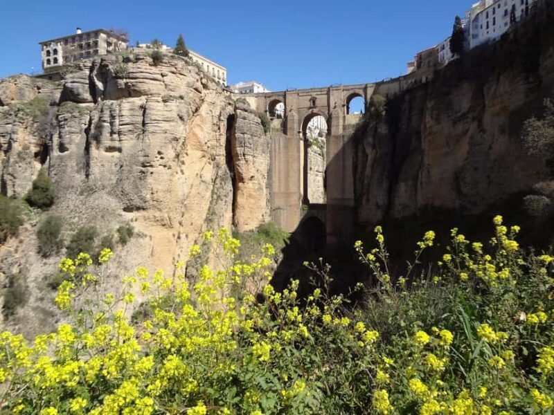 From Malaga: Ronda y Setenil de la Bodegas Day Trip by coach - FAQs