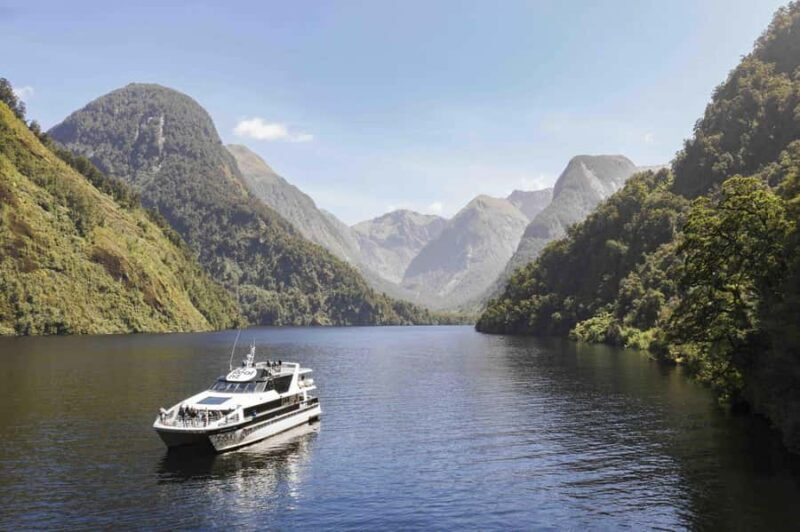 From Manapouri: Doubtful Sound Wilderness Day Trip - Final Thoughts