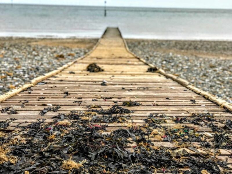 From Manchester: North Wales Sightseeing Adventure Day Trip - Snowdonia National Park