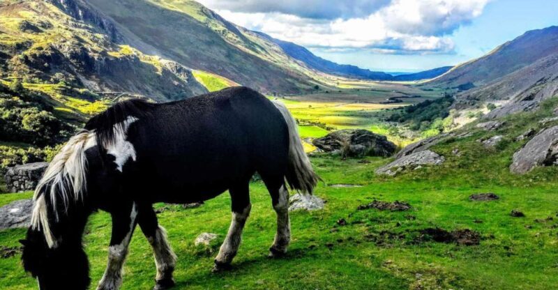 From Manchester: North Wales Sightseeing Adventure Day Trip - Return to Manchester