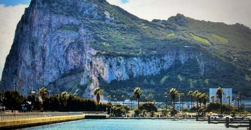 From Marbella/Estepona: VIP Gibraltar Tour Monkeys + Nature Reserve + Shopping - Final Thoughts: Who is This Tour Best For?