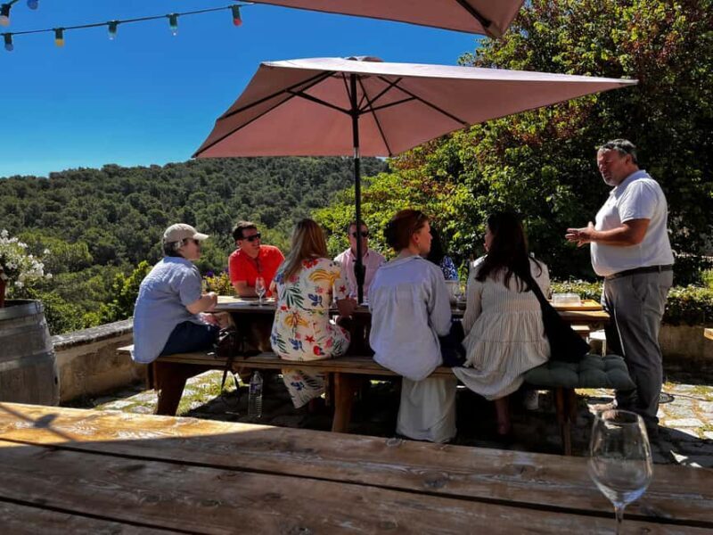 From Marseille: Aix en Provence Wine and Cheese Tour - An In-Depth Look at the Experience