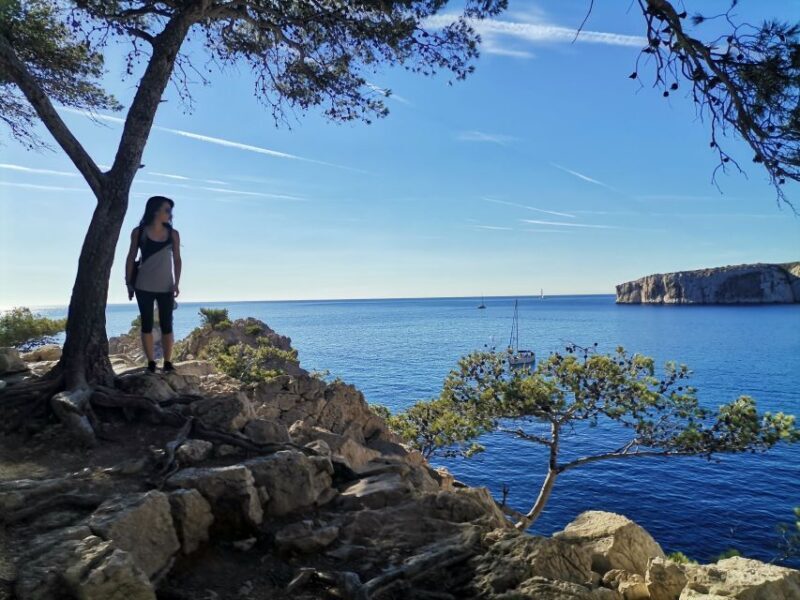 From Marseille: Calanques National Park Guided Hike - Key Points