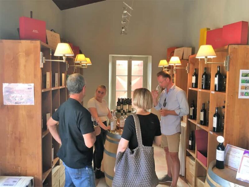 From Marseille: Wine and Scenery around Aix-en-Provence - Key Points