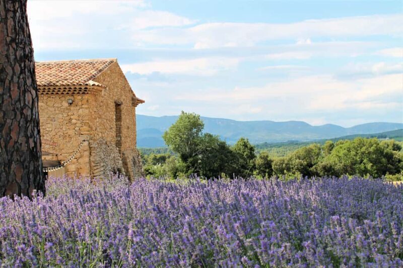From Marseille: Wine and Scenery around Aix-en-Provence - A Taste of Provence: What the Tour Offers