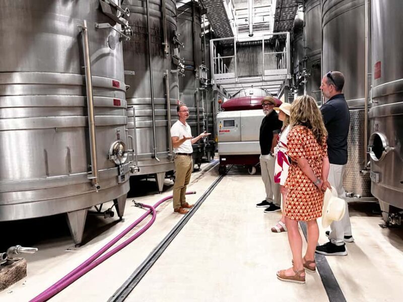 From Marseille: Wine and Scenery around Aix-en-Provence - Price and Value