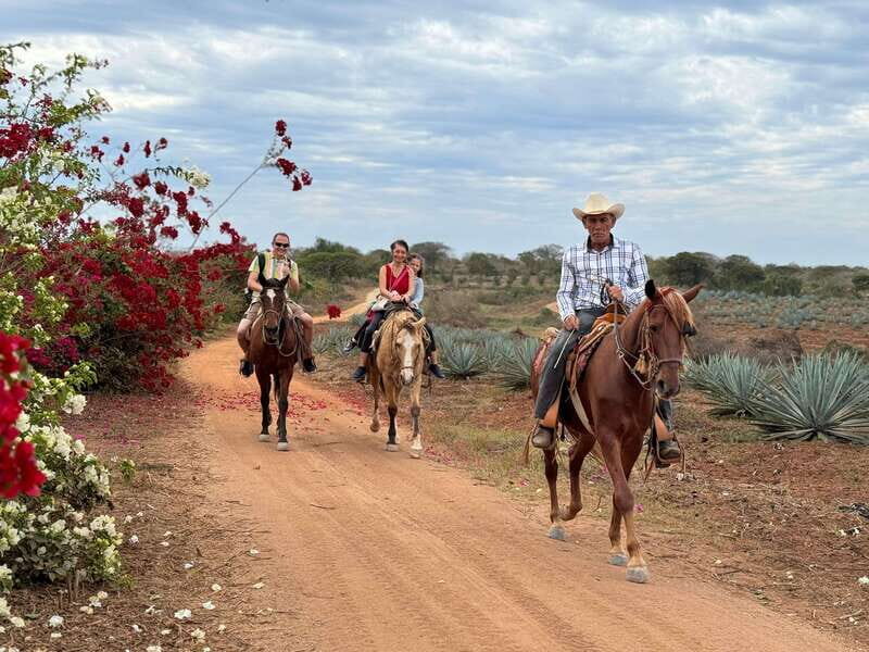 From Mazatlan: ATV & Horse Back riding with Tequila Tasting - Who Will Love This Tour?