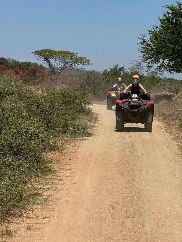 From Mazatlán: ATV Tour into Sierra Madre with Lunch - Key Points