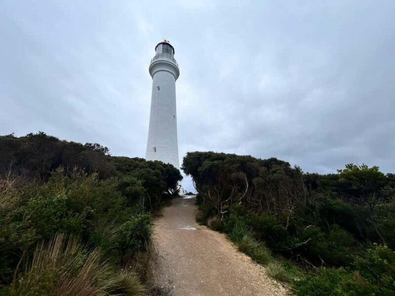 From Melbourne: 12 Apostles & Great Ocean Road Private Tour - From Melbourne: 12 Apostles & Great Ocean Road Private Tour Review