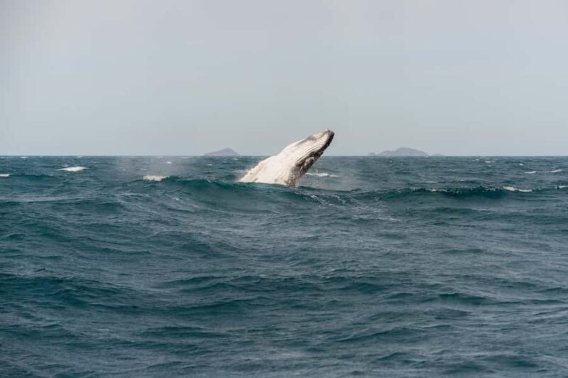 From Melbourne: 5-Day Victorian Alps & Gippsland Lakes Trip - Value & Overall Impressions