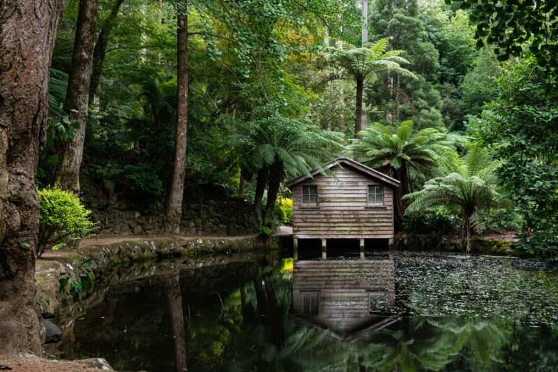 From Melbourne: Dandenong Ranges Private Day Tour - Key Points