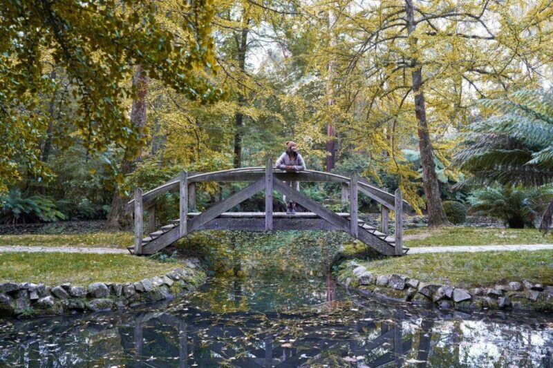 From Melbourne: Dandenong Ranges Private Day Tour - What Reviewers Say