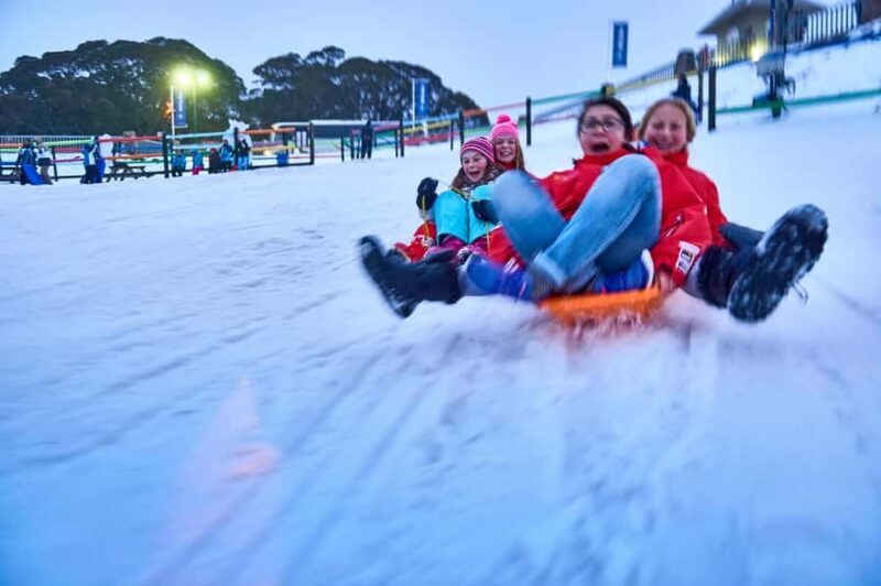 From Melbourne: Day Trip to Mt Buller by Premium Tour Coach - The Whole Experience: A Detailed Breakdown