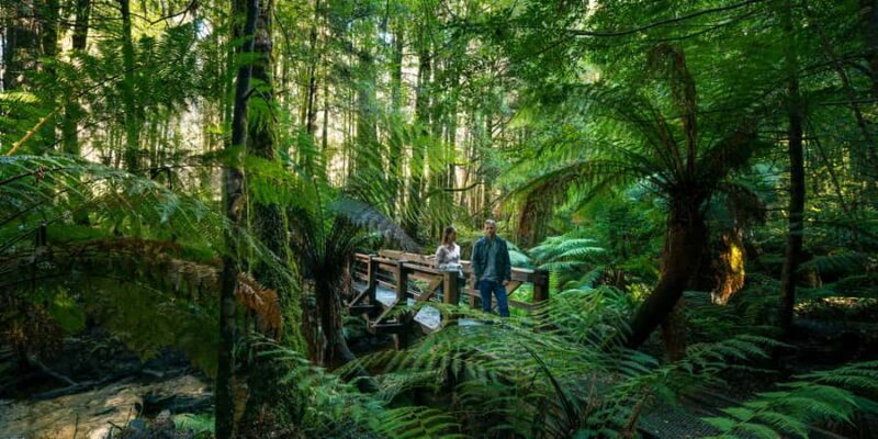 From Melbourne: Great Ocean Road & 12 Apostles Full-Day Tour - The Final Word