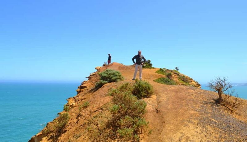 From Melbourne: Great Ocean Road Day Trip with Dinner - Why This Tour Offers Great Value