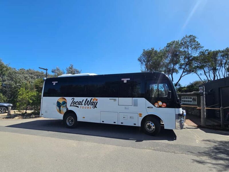 From Melbourne: Great Ocean Road, Dingos, Sparkling & Lunch - Final Highlights and Return