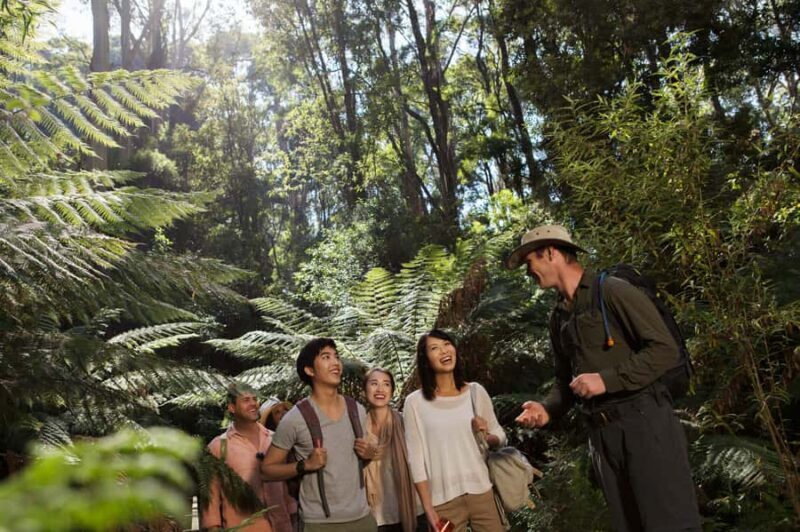 From Melbourne: Great Ocean Road & Wildlife Sightseeing Tour - Who This Tour Is Perfect For