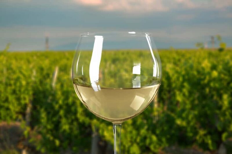 From Melbourne: Mornington Peninsula Private Winery Tour - An In-Depth Look at the Mornington Peninsula Private Winery Tour