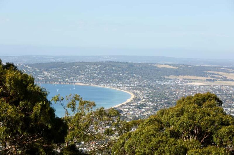 From Melbourne: Mornington Peninsula: Sightseeing Tour - What Travelers Say: Authentic Insights from Reviews