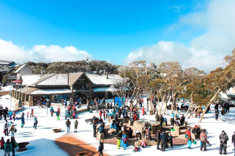 From Melbourne: Mount Buller Guided Day Tour - The Journey Begins: Transportation and Timing
