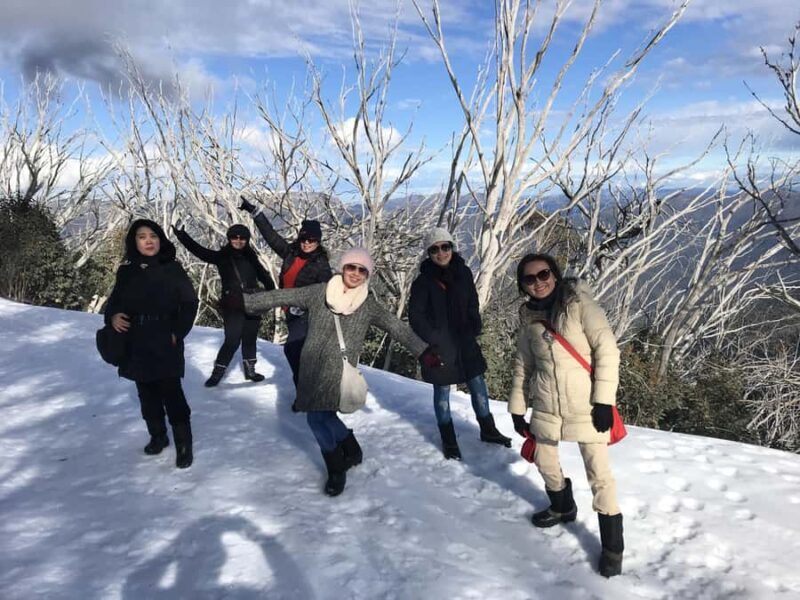 From Melbourne: Mt Buller Snow Day Small Group Boutique Tour - Authentic Insights from Reviewers