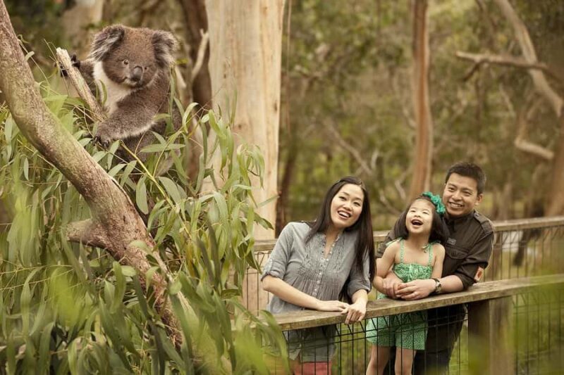 From Melbourne: Phillip Is Penguin Parade & Koala Reserve - Frequently Asked Questions