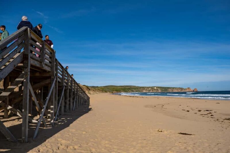 From Melbourne: Phillip Island and Penguin Parade Day Tour - FAQ