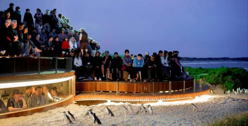From Melbourne: Phillip Island Penguin & Nature Day Tour - FAQ