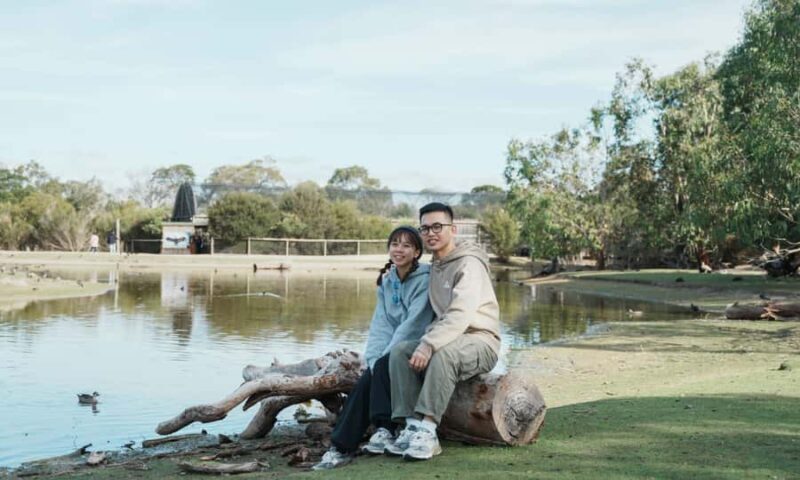 From Melbourne: Phillip Island Penguin Parade Eco Tour - FAQs