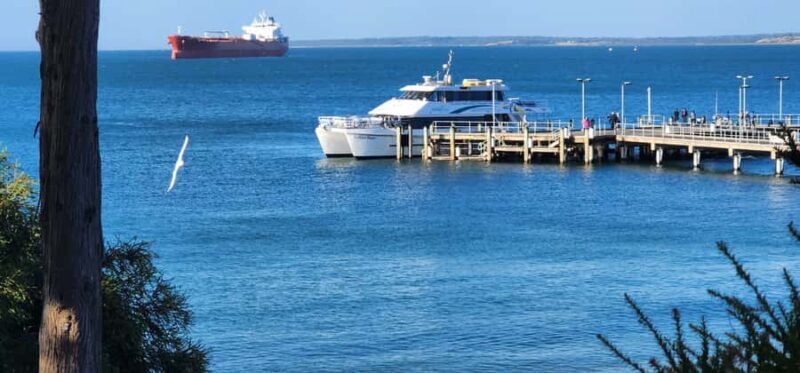 From Melbourne: Phillip Island Penguin Parade Private Tour - Final Thoughts: Who Will Love This Tour?