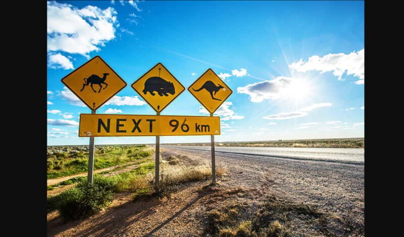 From Melbourne: Private Great Ocean Road Tour with Pickup - An In-Depth Look at the Great Ocean Road Private Tour