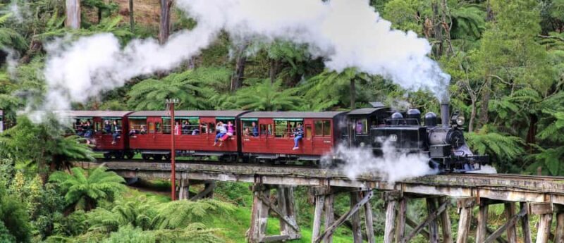 From Melbourne: Puffing Billy and Penguin Parade Combo Tour - Key Points
