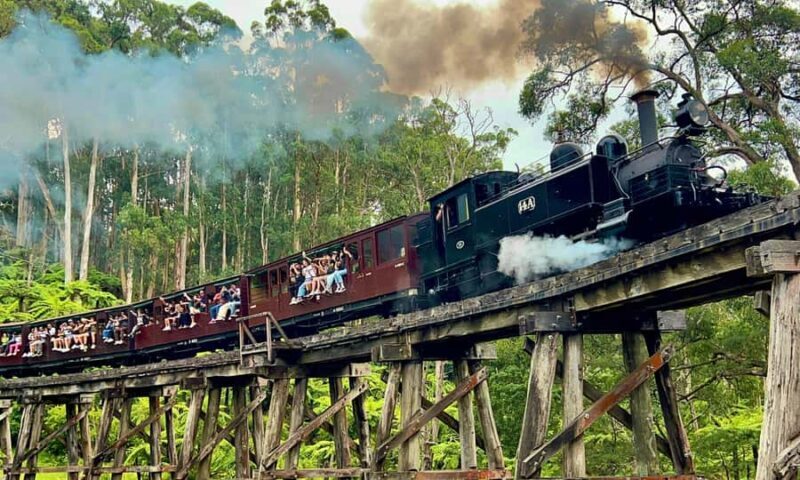From Melbourne: Puffing Billy & Penguins Combo Tour Package - Key Points