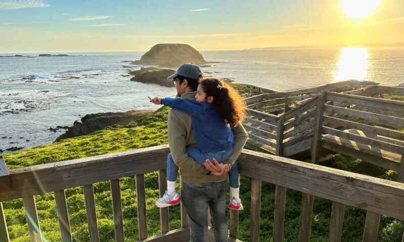 From Melbourne: Puffing Billy & Penguins Combo Tour Package - Authentic Insights from Travelers