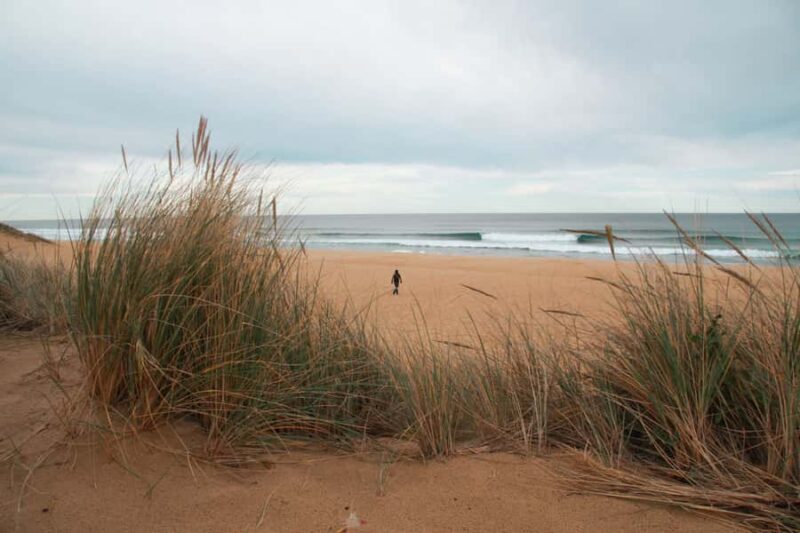 From Melbourne: Small Group Great Ocean Road Tour - FAQ