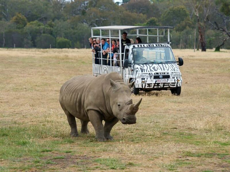 From Melbourne: Werribee Open Range Zoo & Werribee Mansion - The Itinerary in Detail