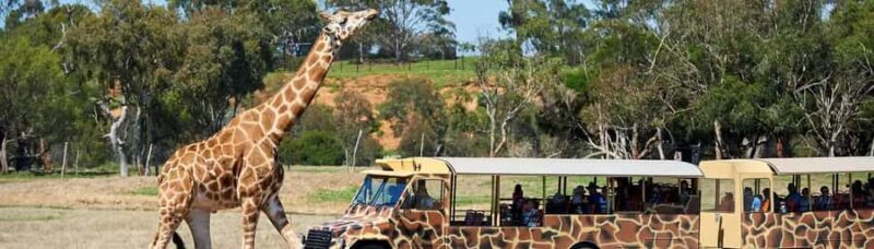 From Melbourne: Werribee Open Range Zoo & Werribee Mansion - Final Thoughts