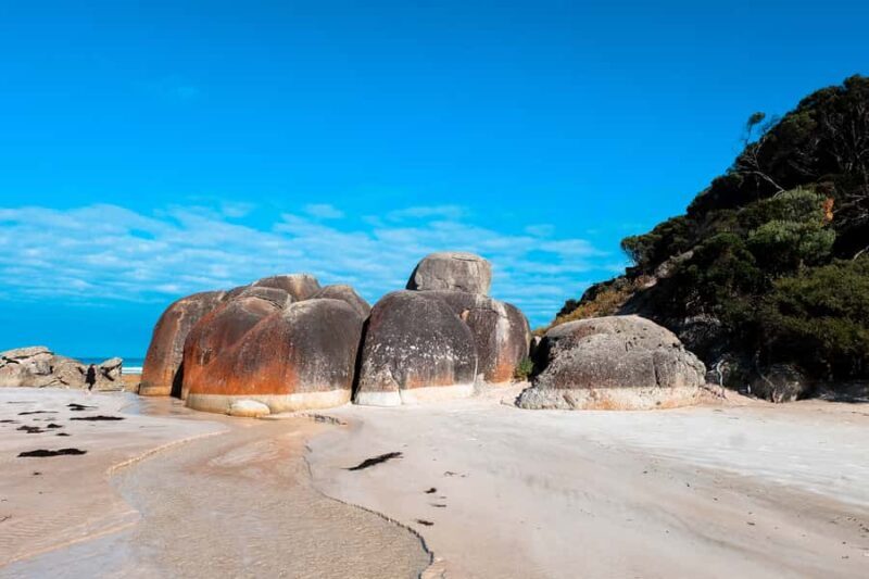 From Melbourne: Wilsons Promontory Small Group Day Tour - The Guides: Knowledgeable, Friendly, and Fun